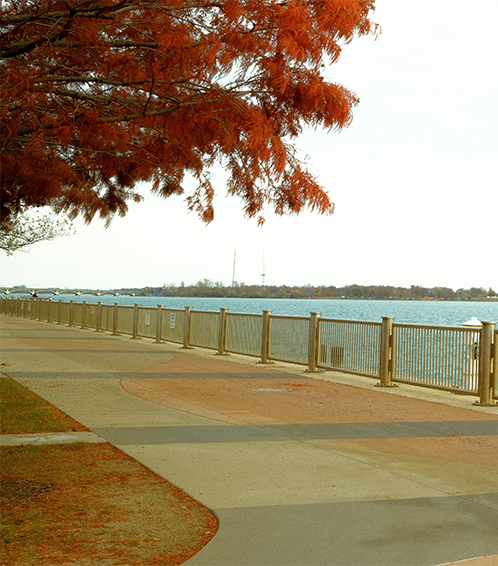 Detroit Living - Modern Apartments in Detroit's Best Neighborhoods